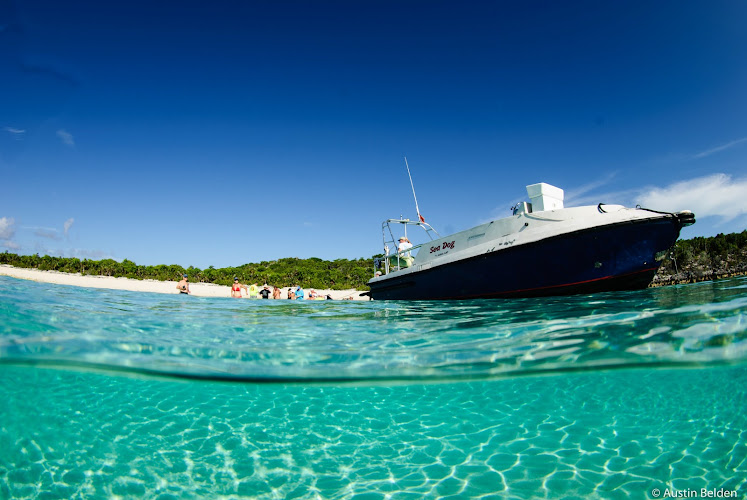 Aqua Cat | ISDO Adventure